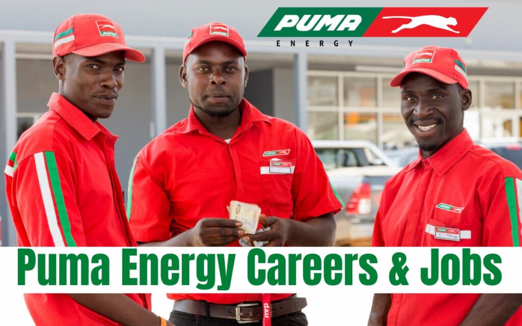 Puma Energy Jobs: Papua New Guinea, Switzerland, Australia, India
